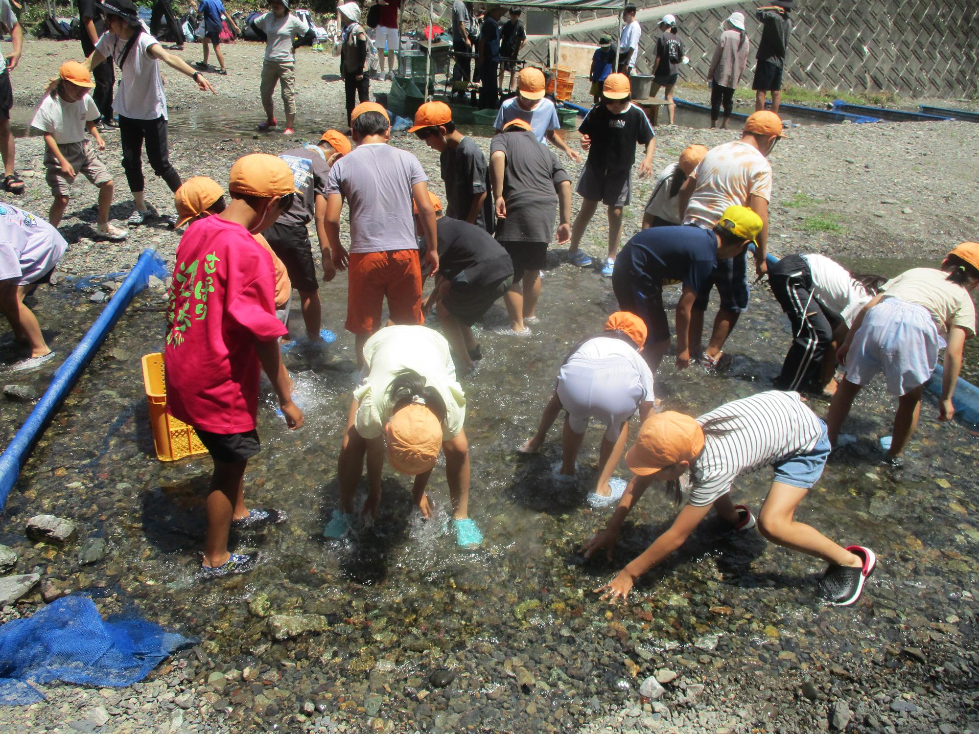 令和7年度の様子／加須市